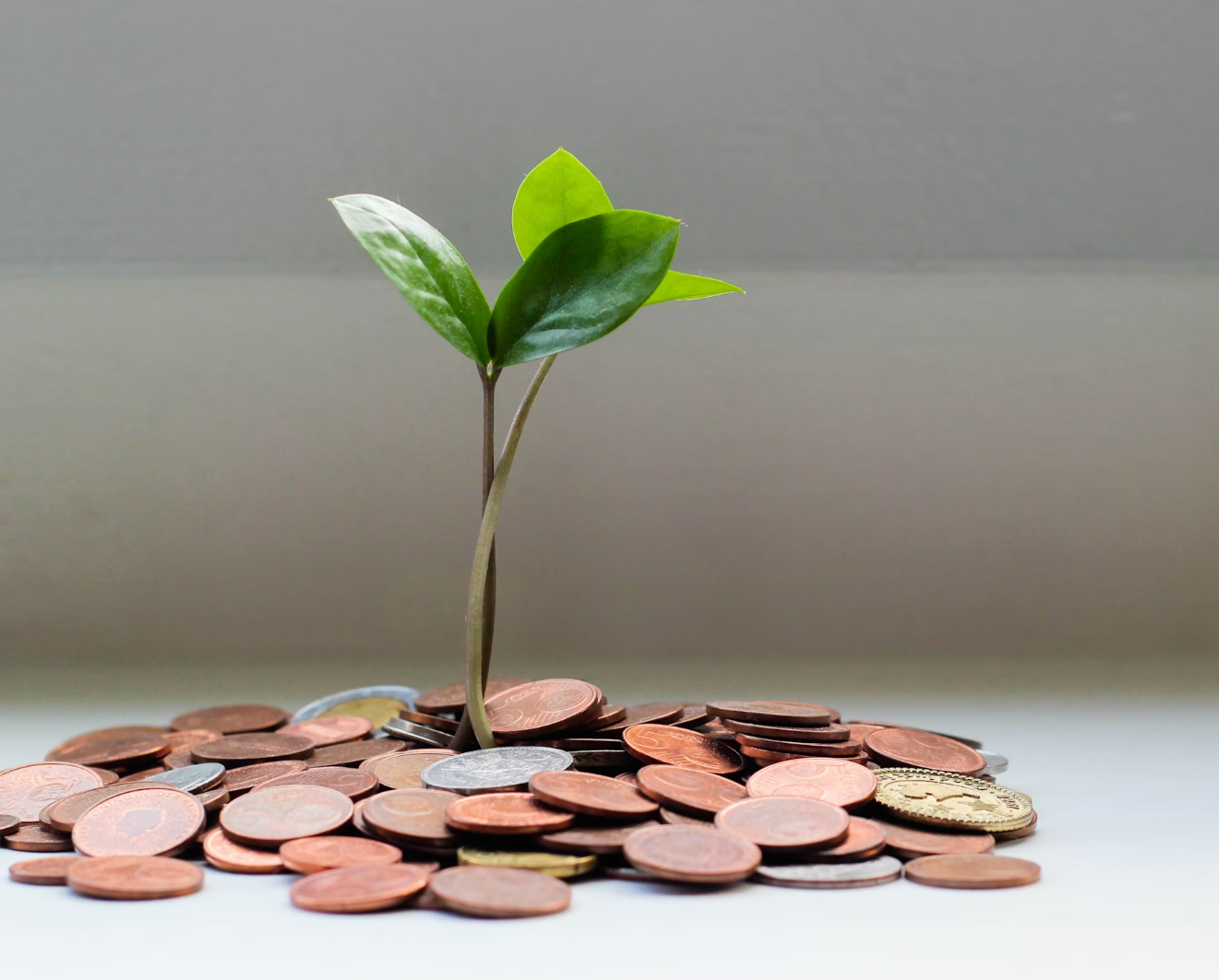 Why Are Financial Values Important for Personal Finance Success?